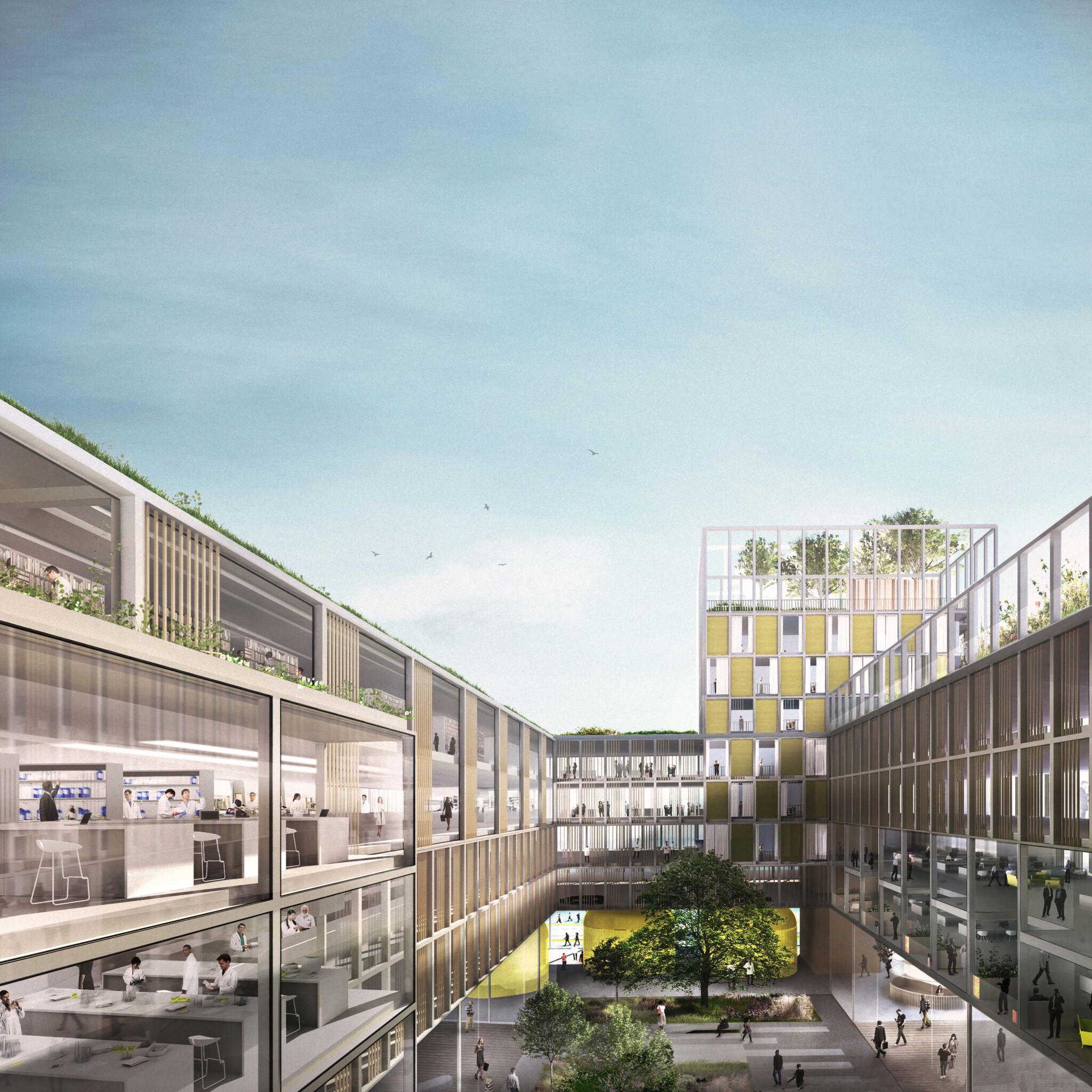 Haptic | London Cancer Hub