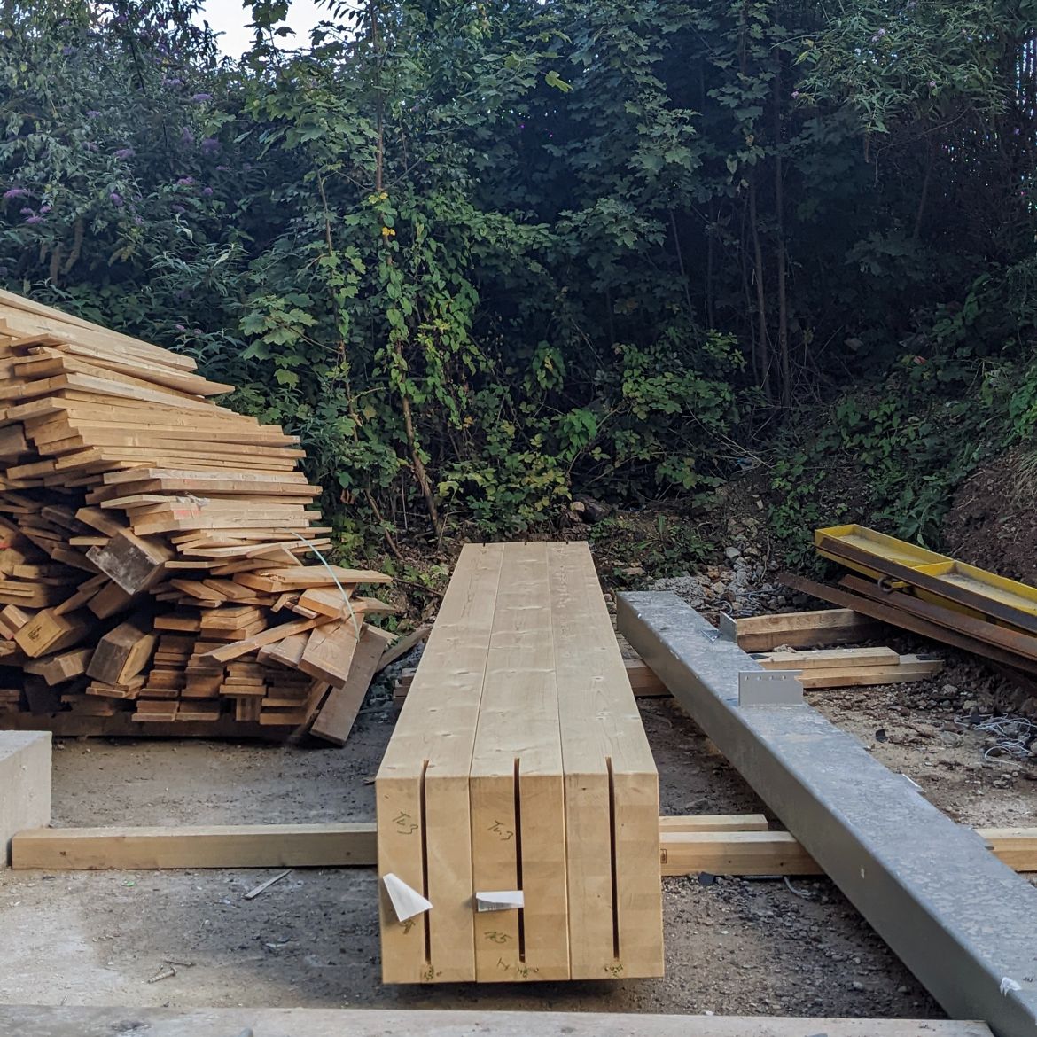 Timber Research - Haptic