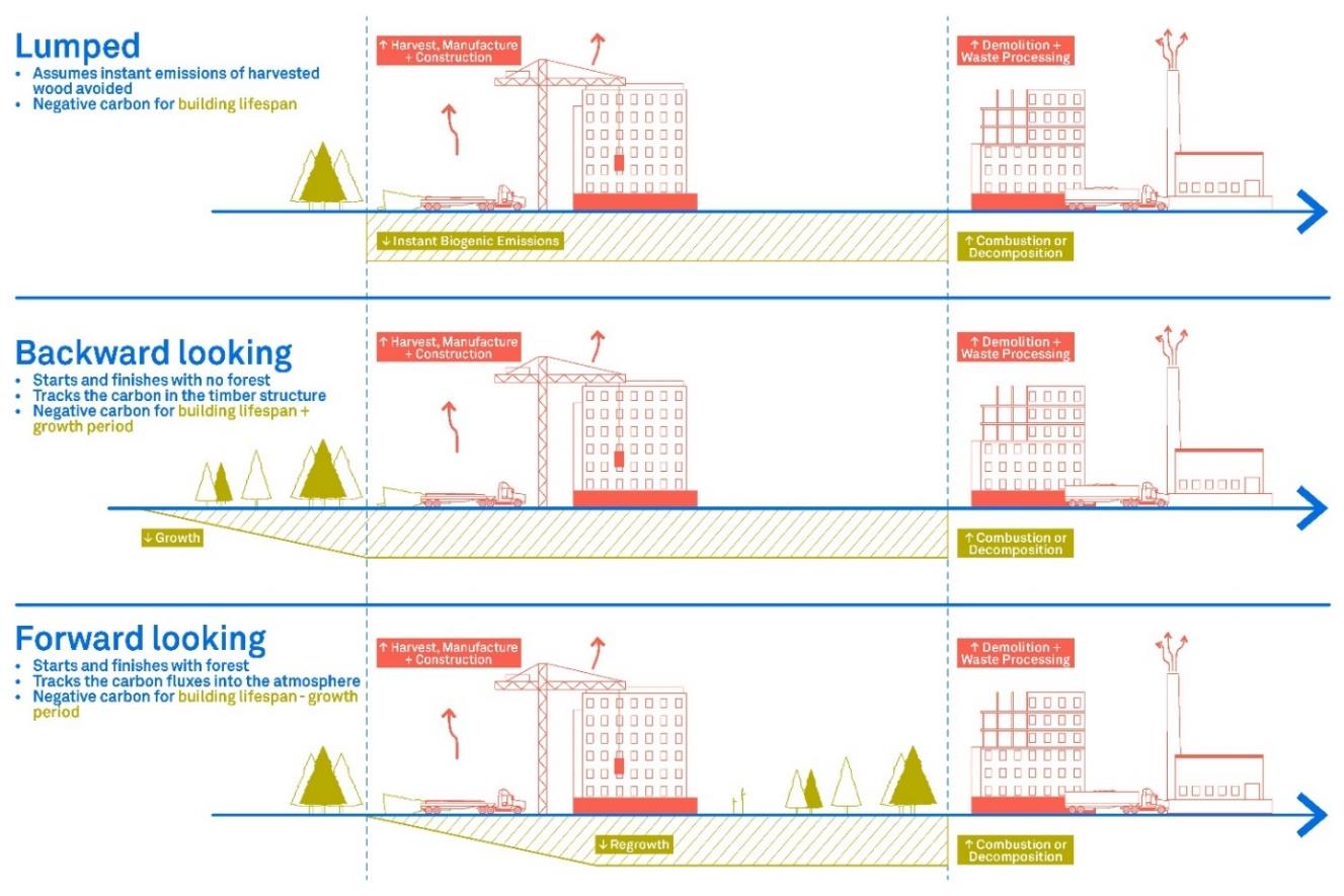 Timber Research - Haptic